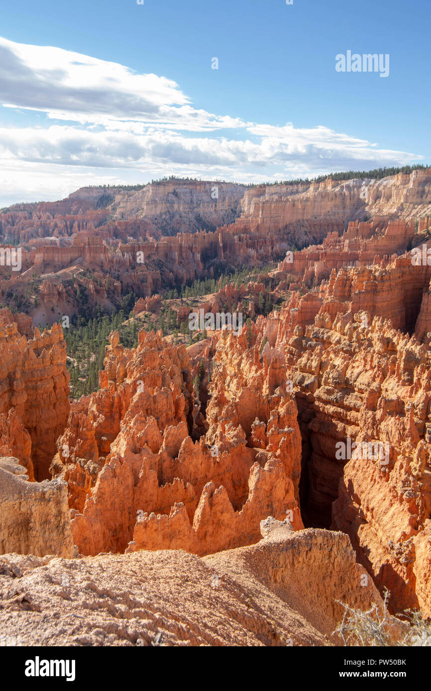 Bryce Canyon in Utah Stock Photo - Alamy