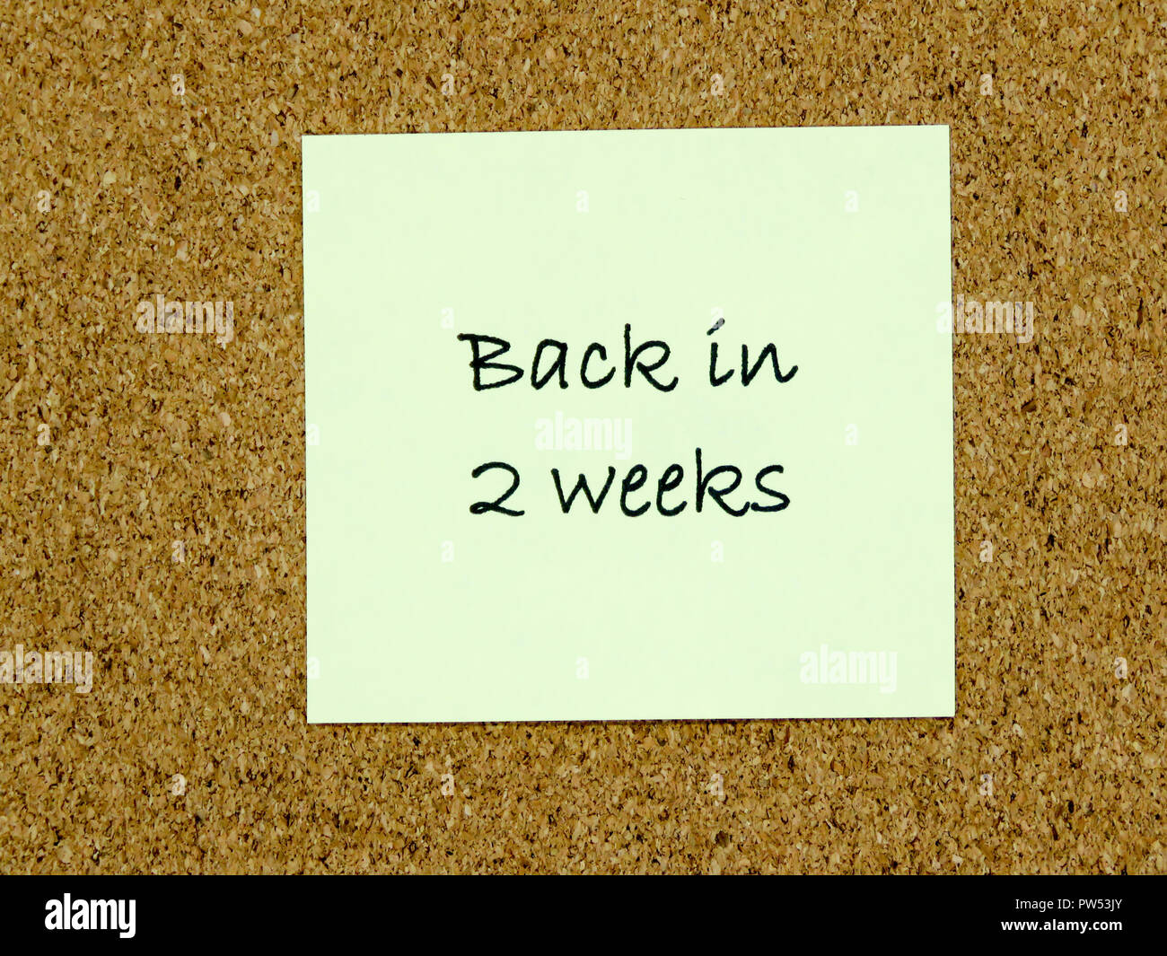 A yellow sticky note with back in 2 weeks written on it on a cork board ...