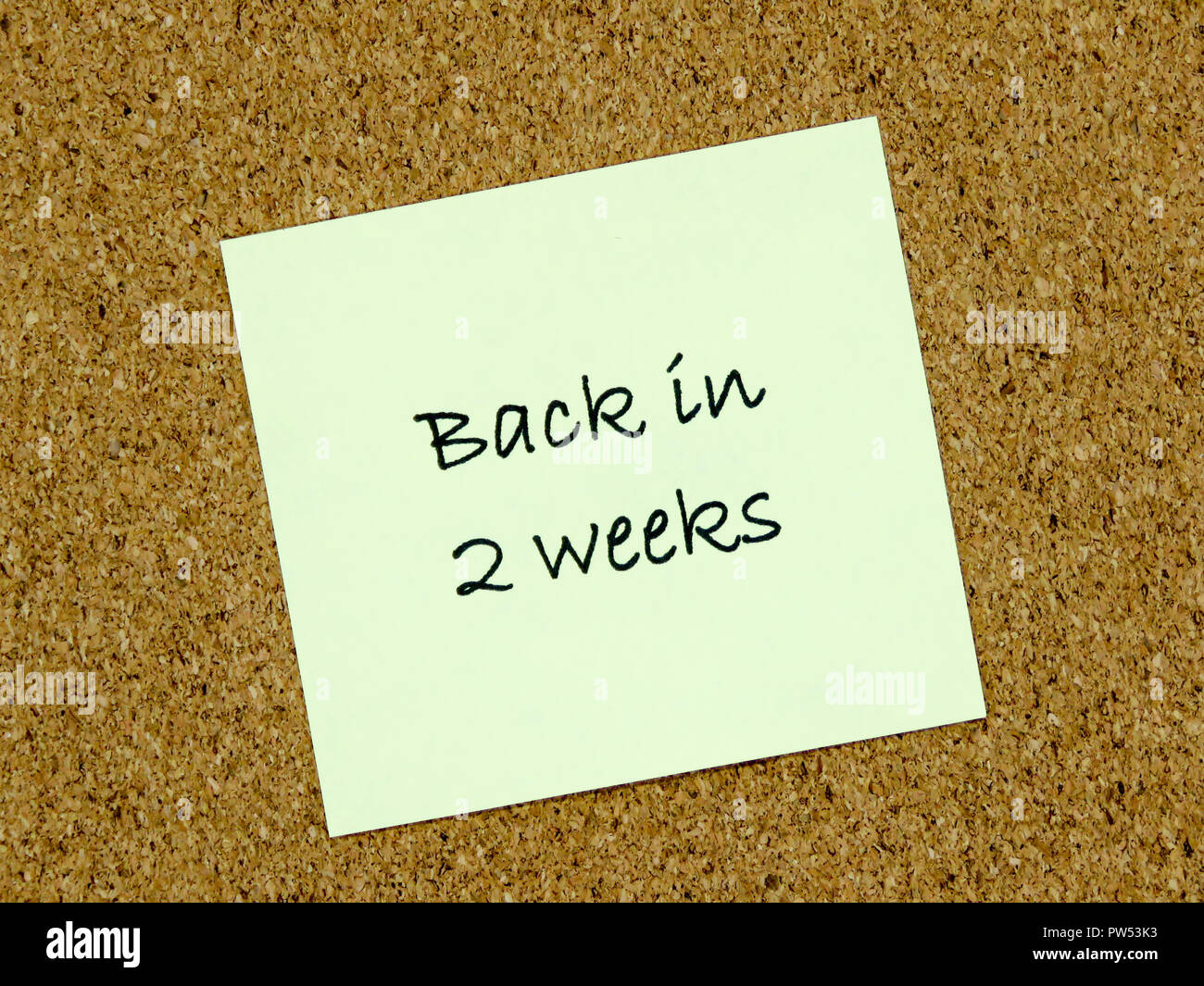 A yellow sticky note with back in 2 weeks written on it on a cork board ...