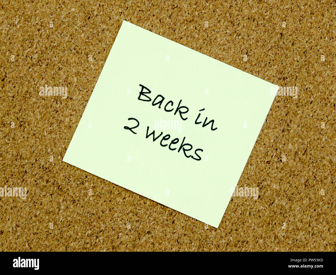 A yellow sticky note with back in 2 weeks written on it on a cork board ...