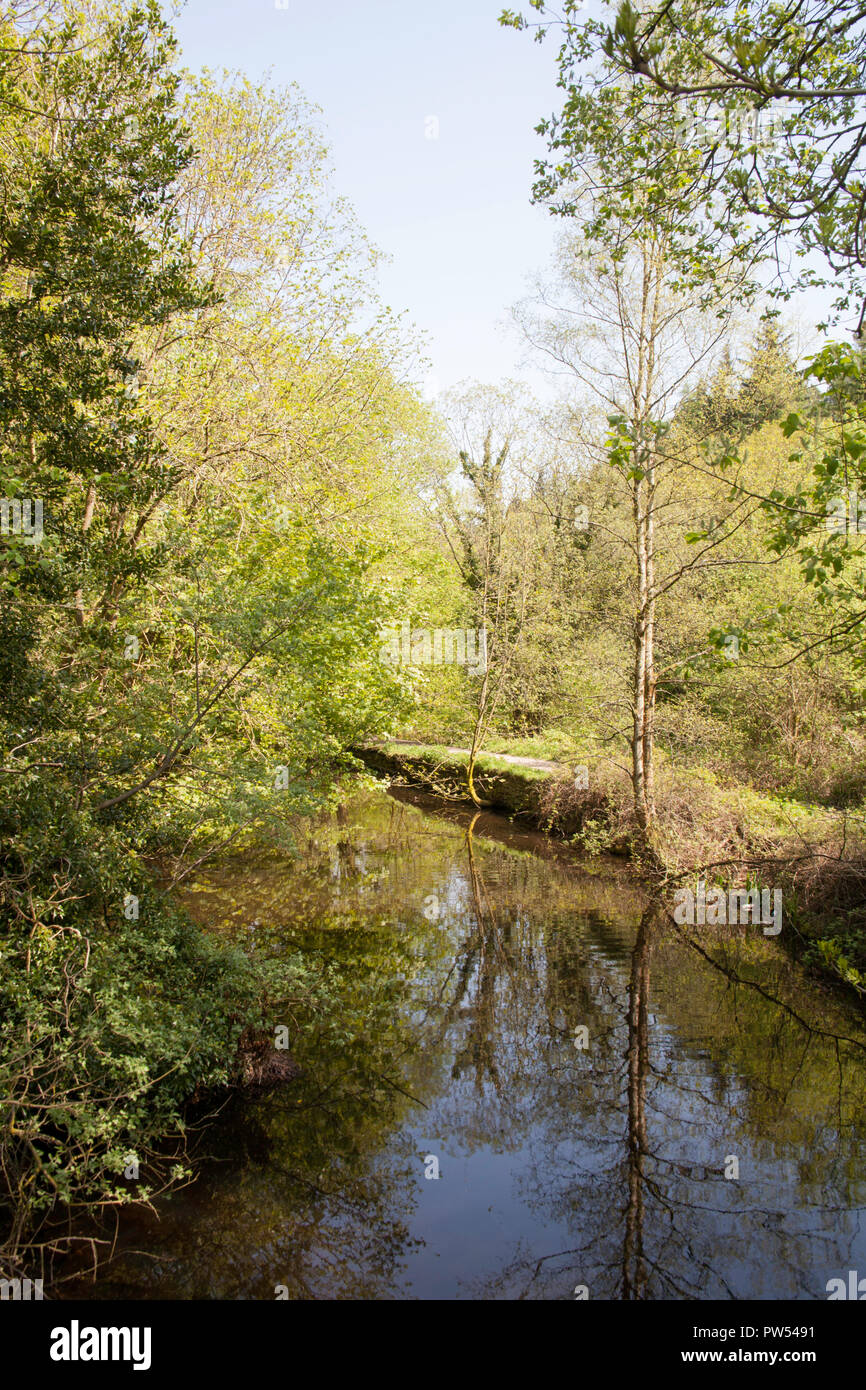 Small canal above the River Etherow in spring at Etherow Country Park ...