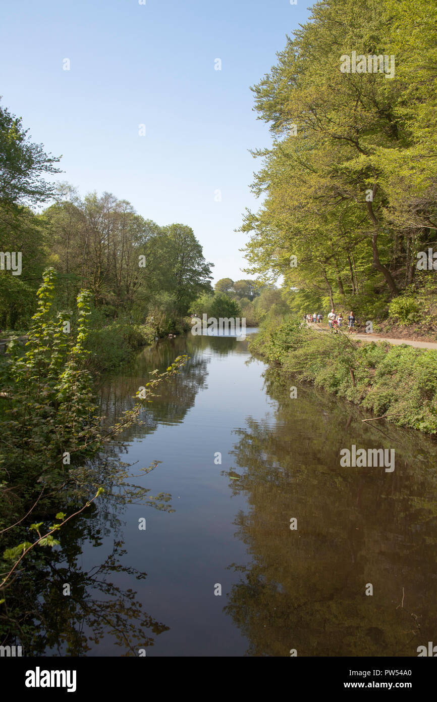 Small canal above the River Etherow in spring at Etherow Country Park ...