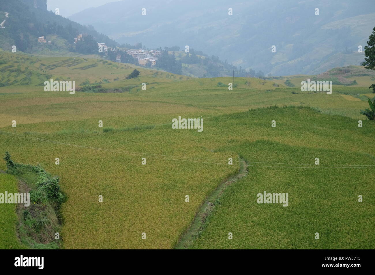 Amazing fields of rice in northern China - photographed by Dan Yeger ...