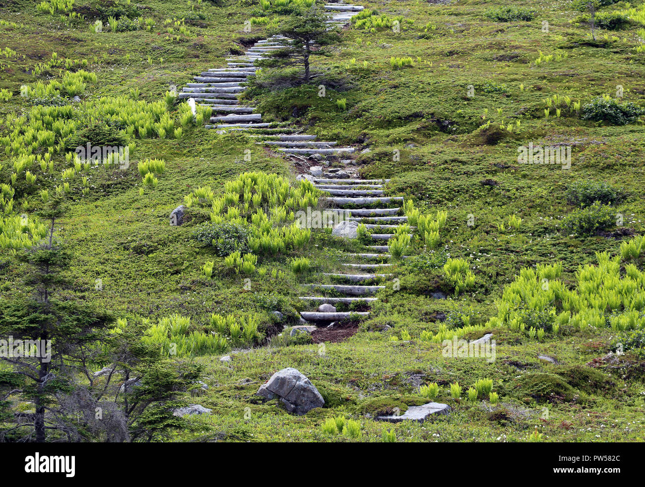 Shoreline trail hi-res stock photography and images - Alamy