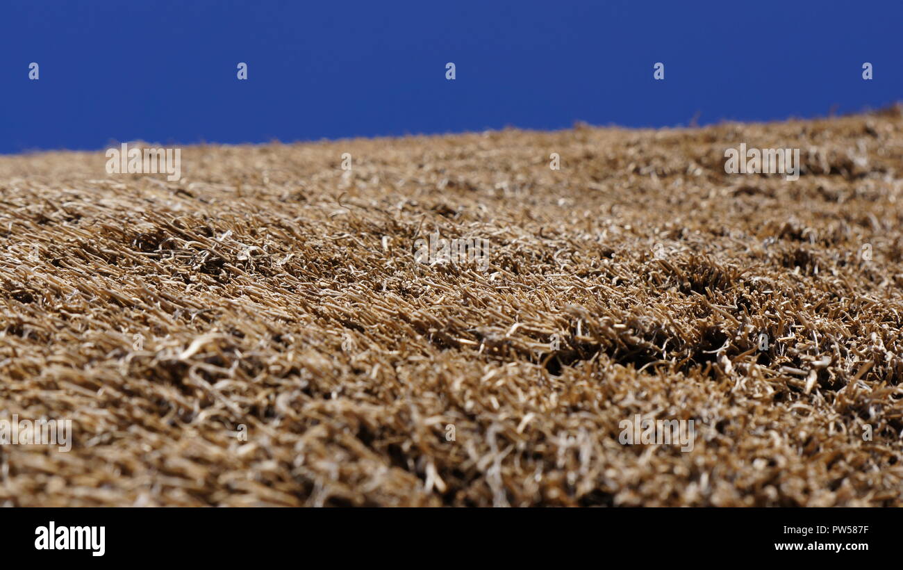 Thatch roof texture background hi-res stock photography and images - Alamy