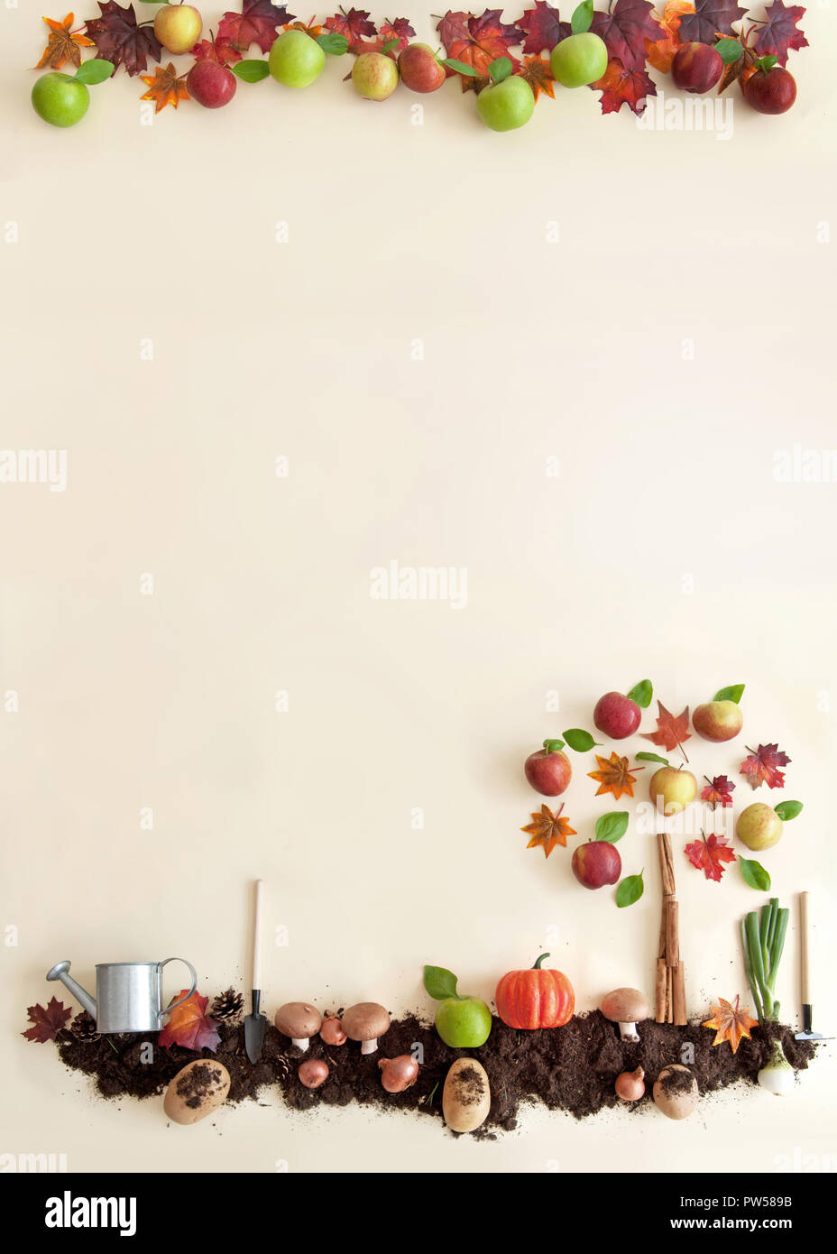 Autumn fruits growing in soil patch with apple tree and orchard Stock ...
