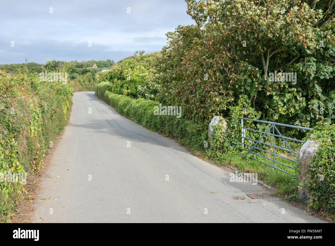 Countryside road in Guernsey Stock Photo - Alamy