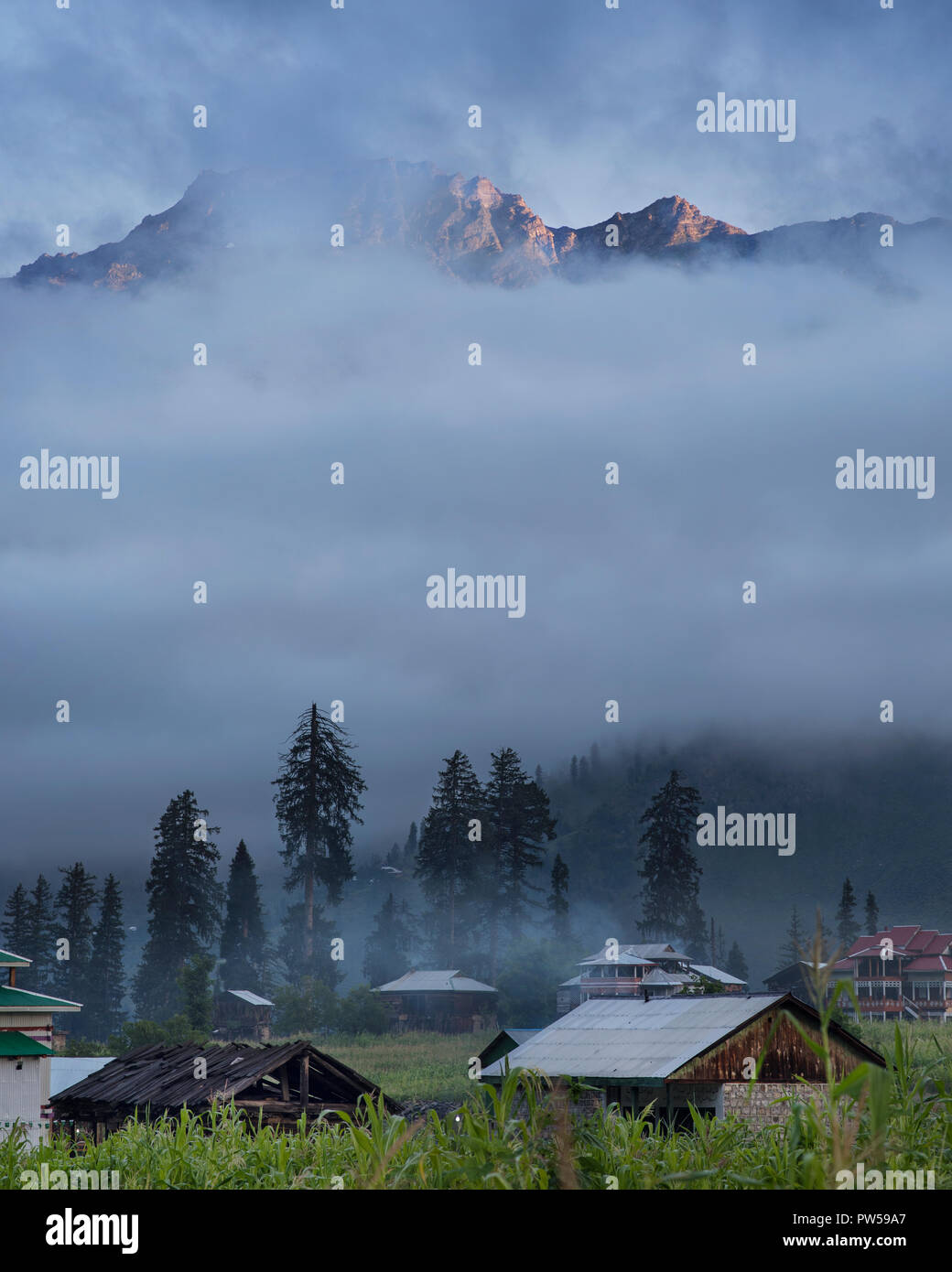 Natures heaven hi-res stock photography and images - Alamy