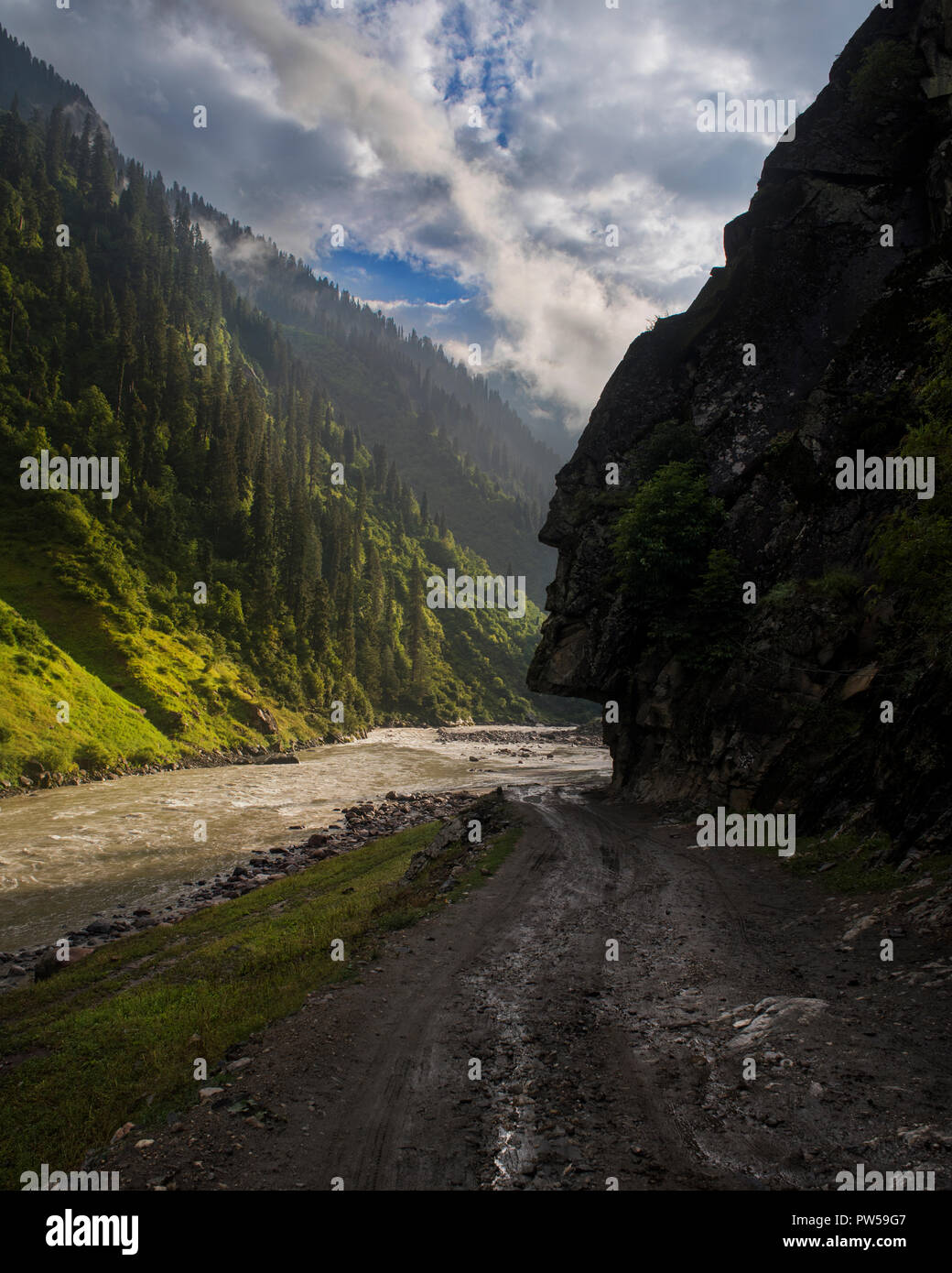 A Silent Observer Stock Photo - Alamy