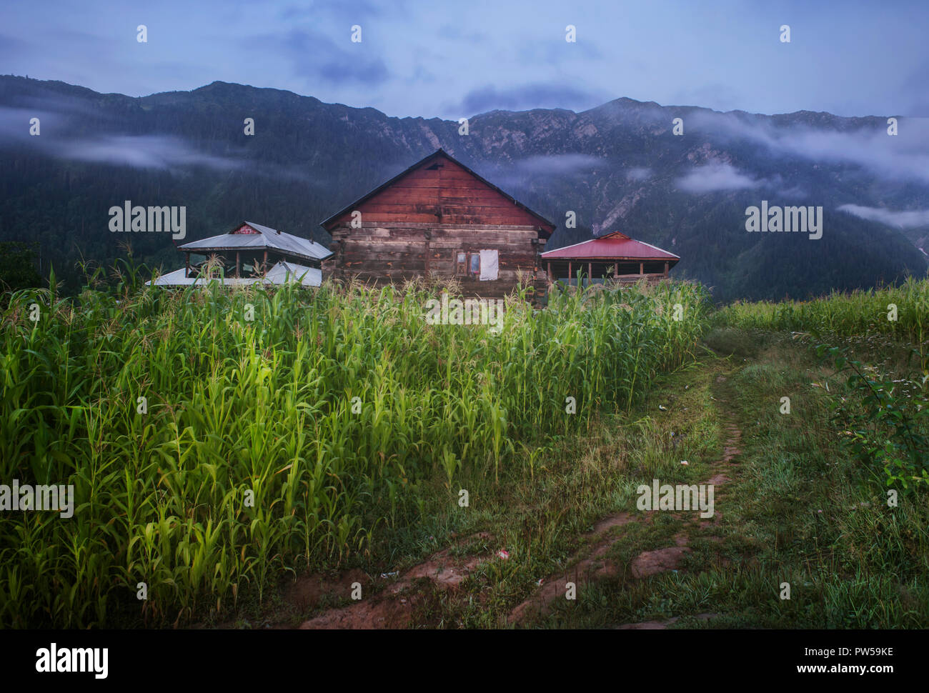 Life in Mountains Stock Photo - Alamy