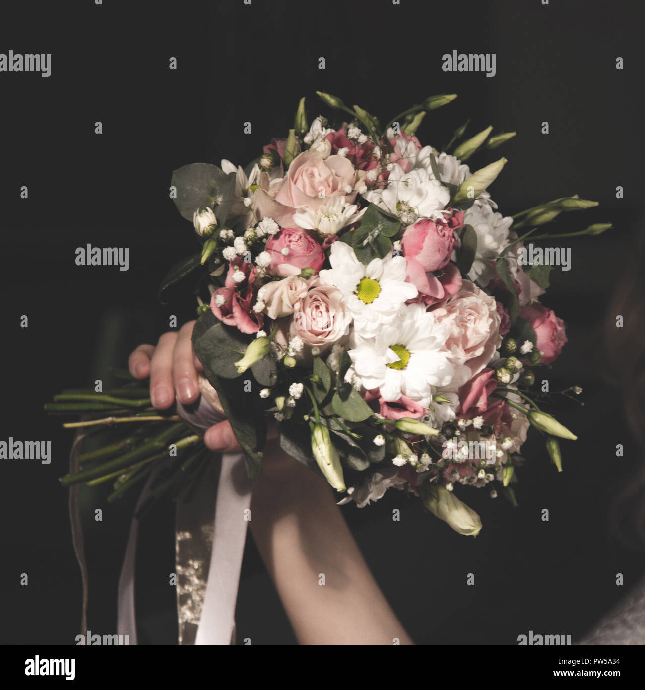 Square aspect ratio hi-res stock photography and images - Alamy