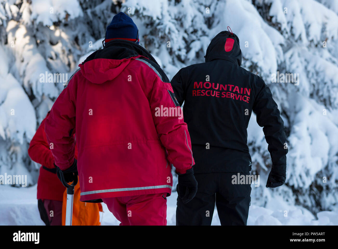 Volunteers from Mountain rescue service participate in a training for ...