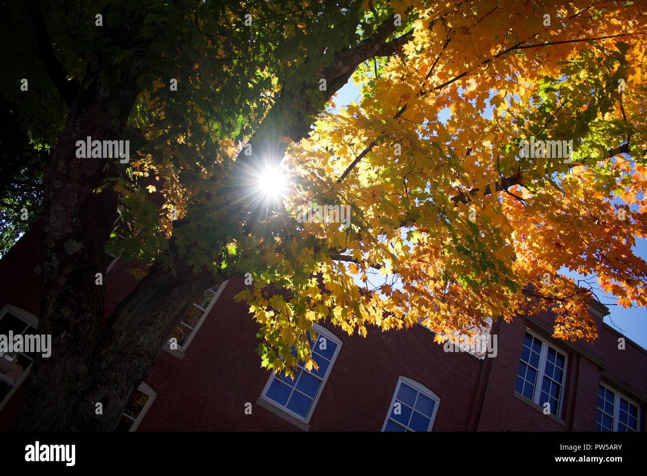 Fall through windows hi-res stock photography and images - Alamy