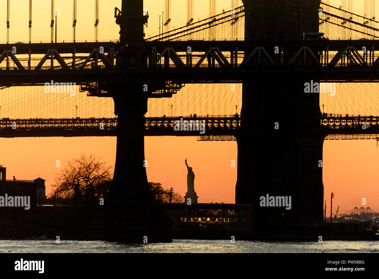 Statue of liberty with birds hi-res stock photography and images - Alamy