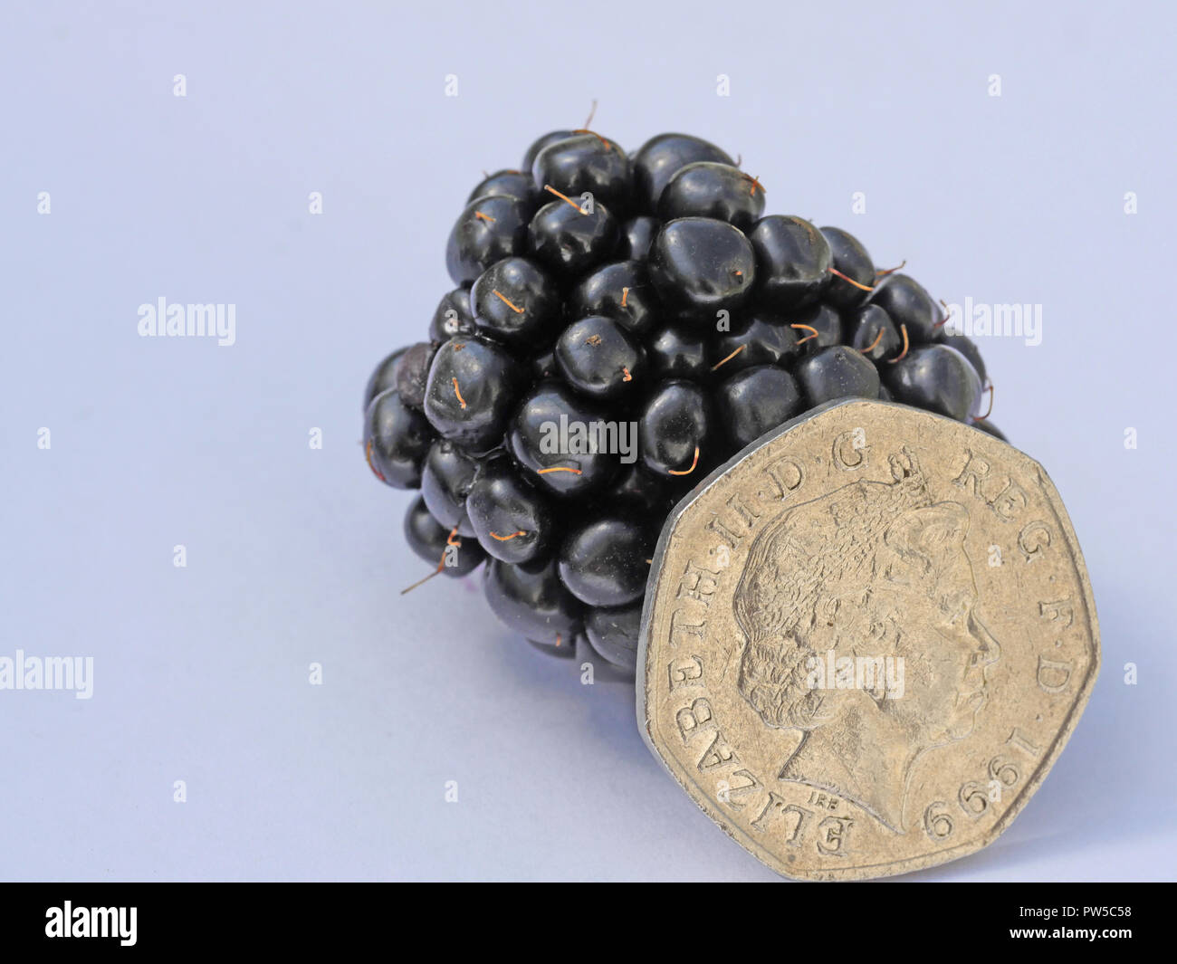 Rubus, large blackberry fruit with 50 pence Stock Photo - Alamy