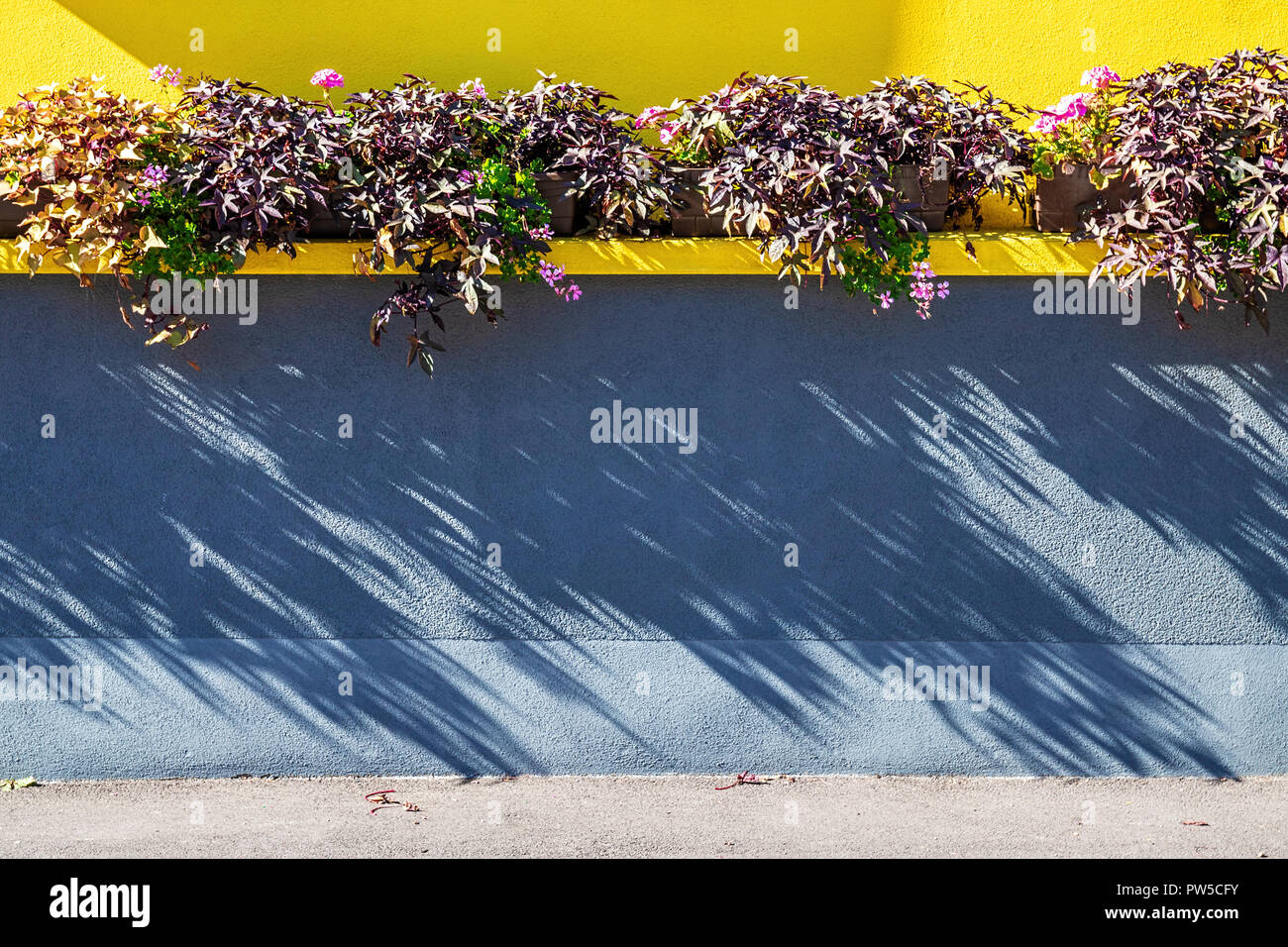 Light and Shadows captured on a walk in late Summer in Freiburg ...