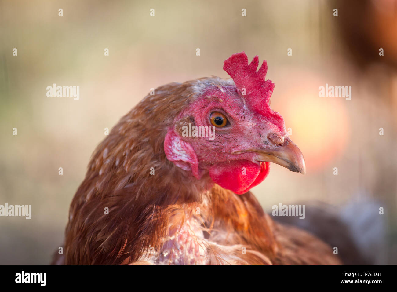 Nice weather happy hi-res stock photography and images - Alamy