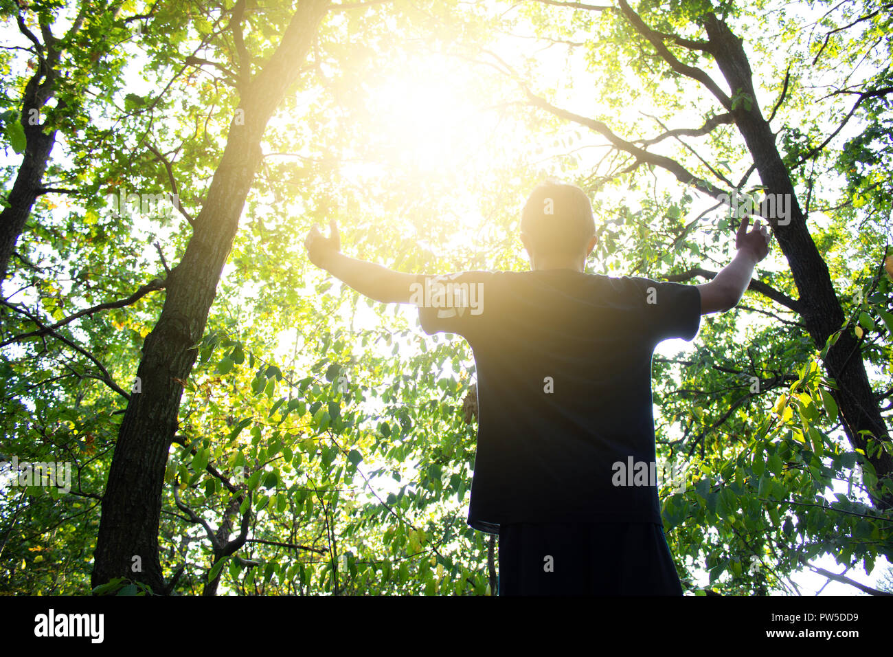 boy worship God with hands up in forest. Nature background Stock Photo ...