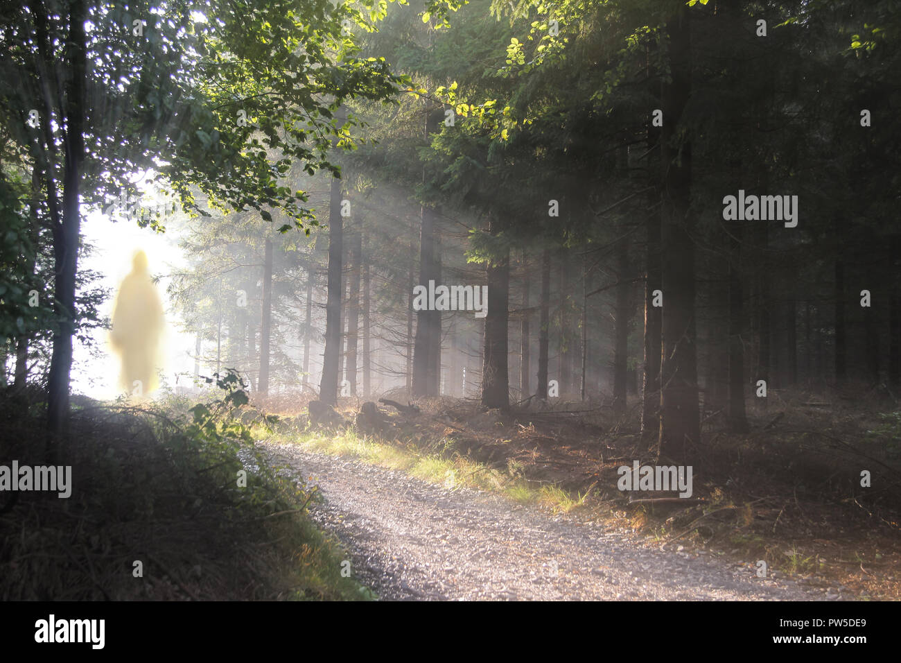 Jesus Christ walking after His resurrection. Figure in sun lights ...