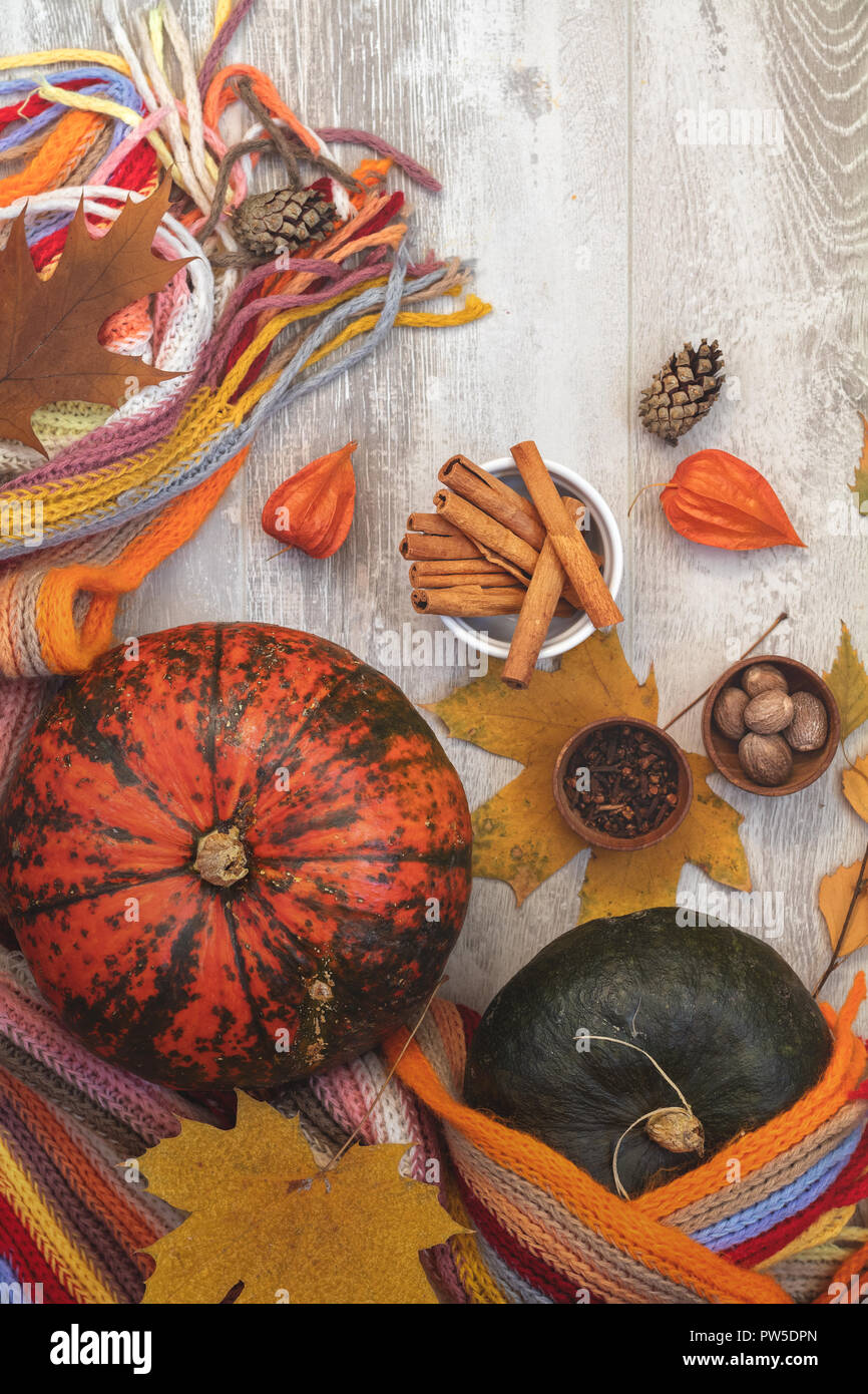 Green and orange Pumpkin, persimmons and ingredients for tasty ...