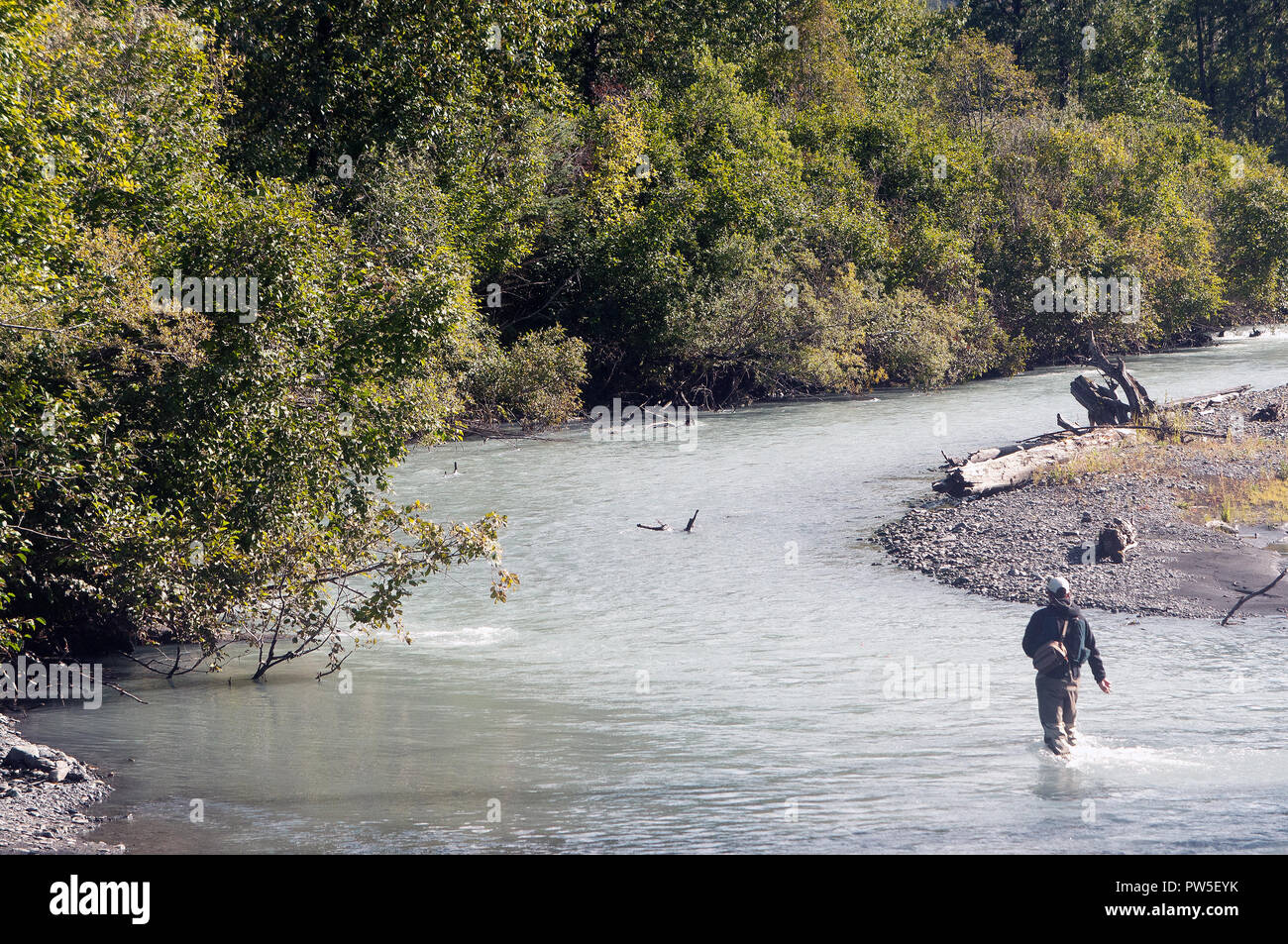 Fisherman in Alaskan stream Stock Photo - Alamy