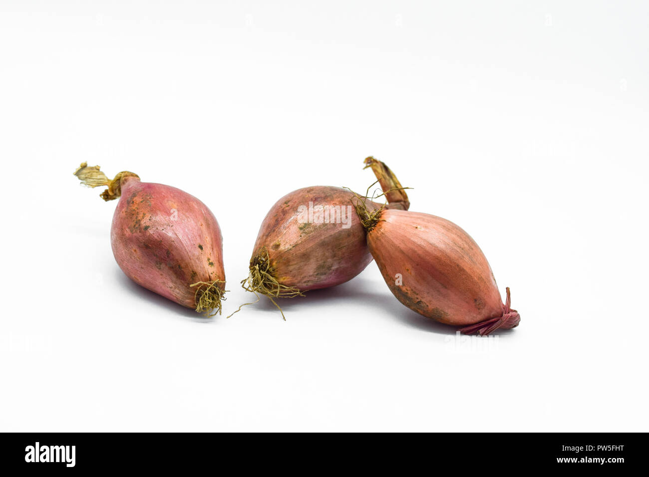 One shallot hi-res stock photography and images - Alamy