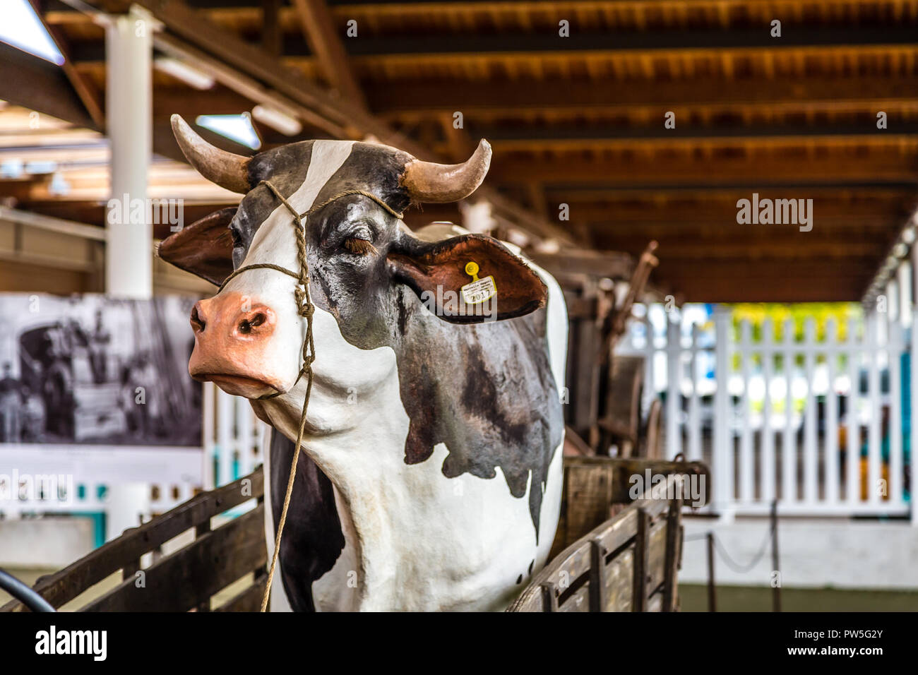 BOLOGNA, ITALY - OCTOBER 2, 2018: lights are enlightening statue of cow ...