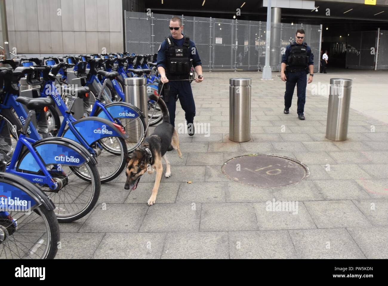 Explosive k9 events hi-res stock photography and images - Alamy