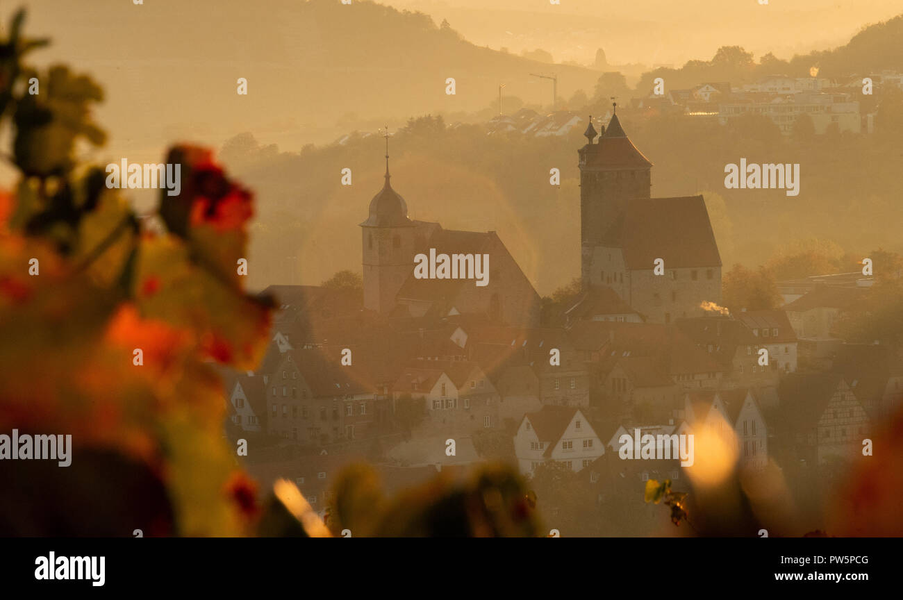 12 October 2018, Baden-Wuerttemberg, Besigheim: 12 October 2018 ...