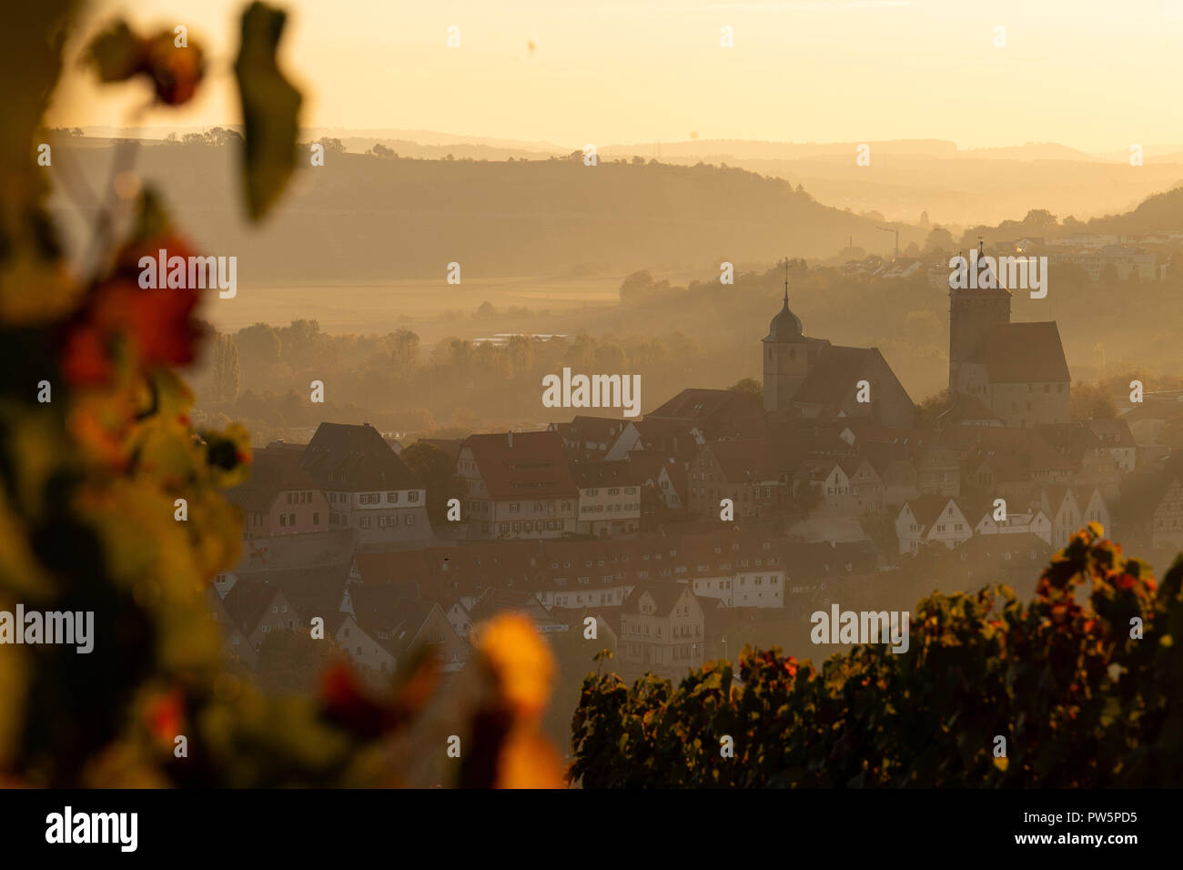 12 October 2018, Baden-Wuerttemberg, Besigheim: 12 October 2018 ...