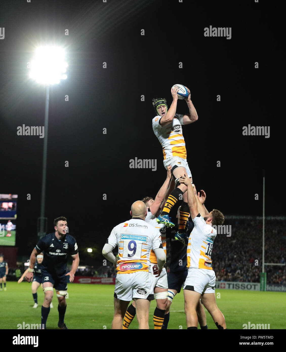 James gaskell wasps hi-res stock photography and images - Alamy