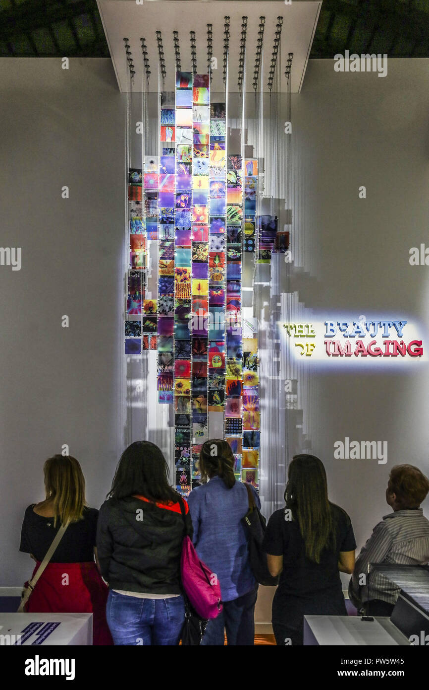 Naples, a moment of the exhibition "The Beuty of Imaging", at CittÃ ...