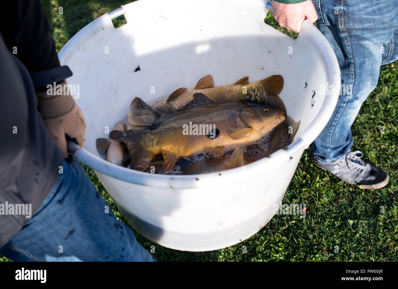 13 October 2018, Bavaria, Munich: Fishermen from the Odelzhausen ...