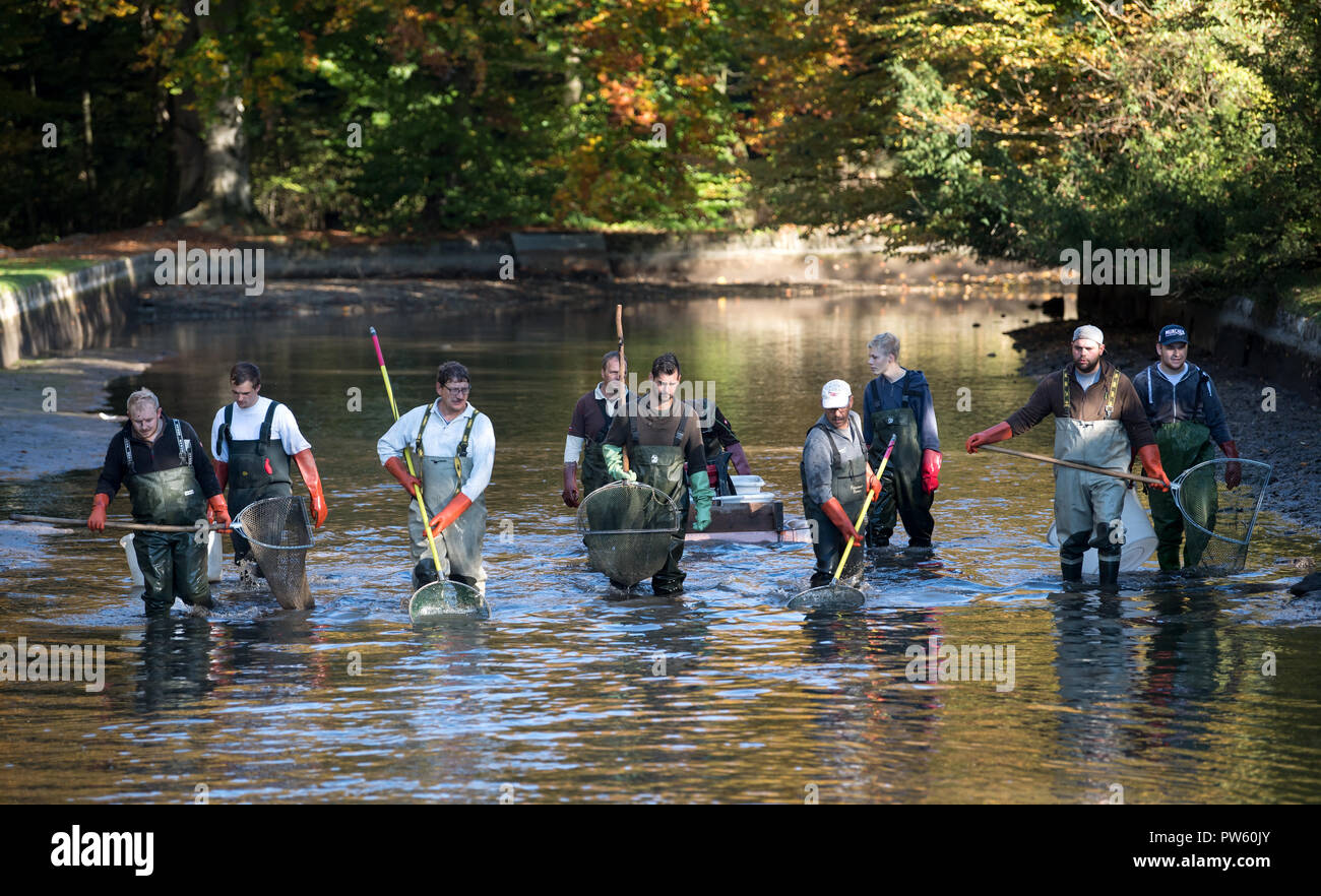 13 October 2018, Bavaria, Munich: Fishermen from the fishing club ...