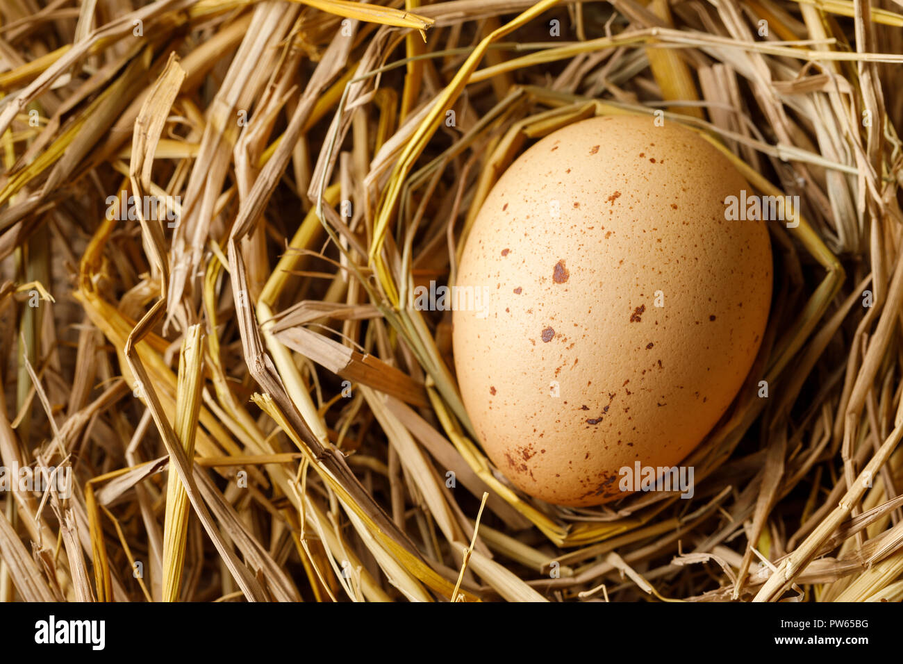 Egg on straw hi-res stock photography and images - Alamy
