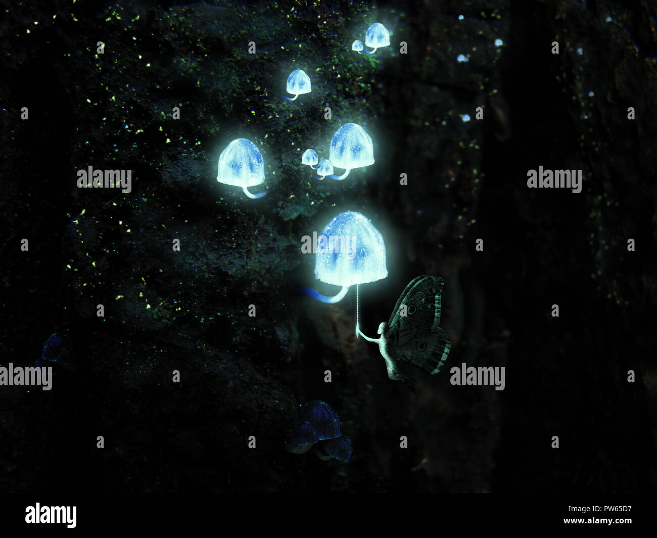 Magic little fairy lights the lights in the night forest Stock Photo ...