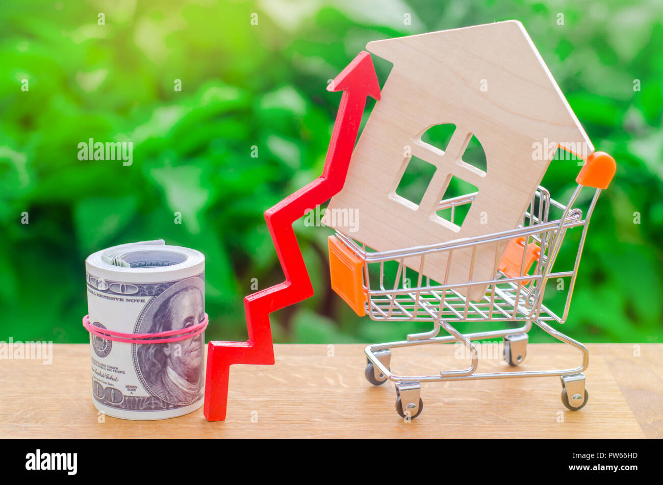 A supermarket cart with a small house and a wooden arrow up on a green ...