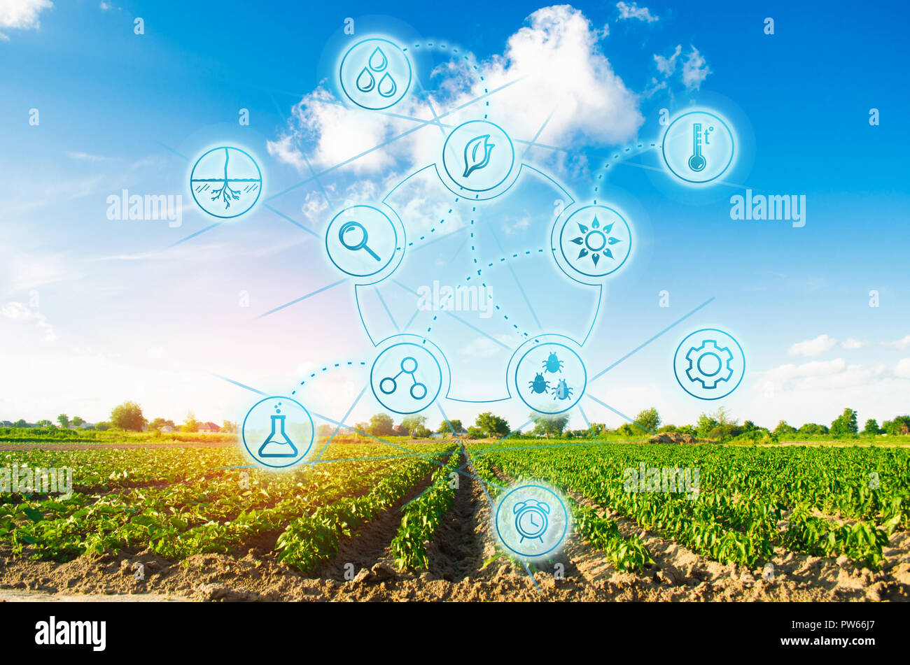 Scientific work and selection, crop forecasting and condition analysis ...