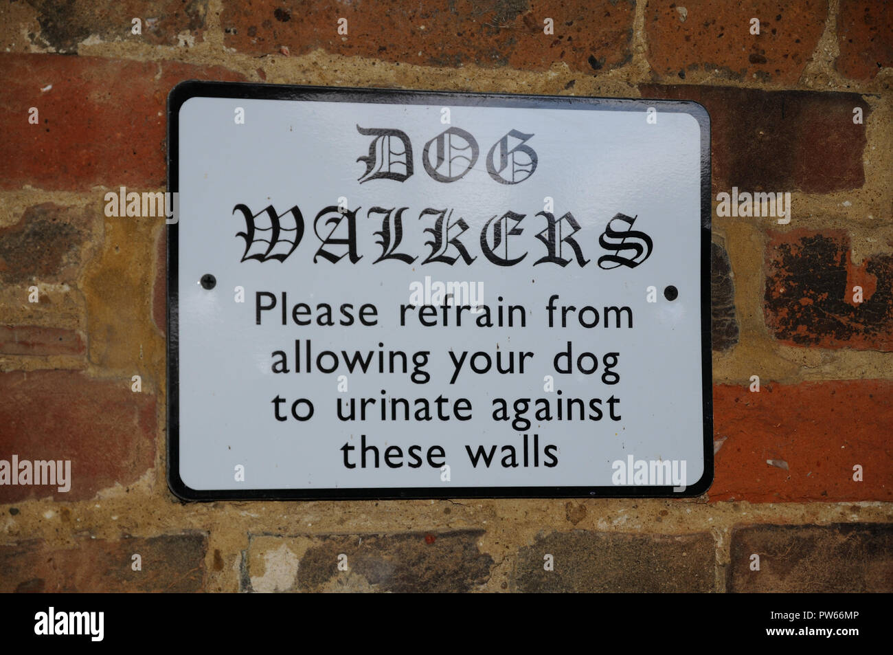 Dogs walkers hi-res stock photography and images - Alamy