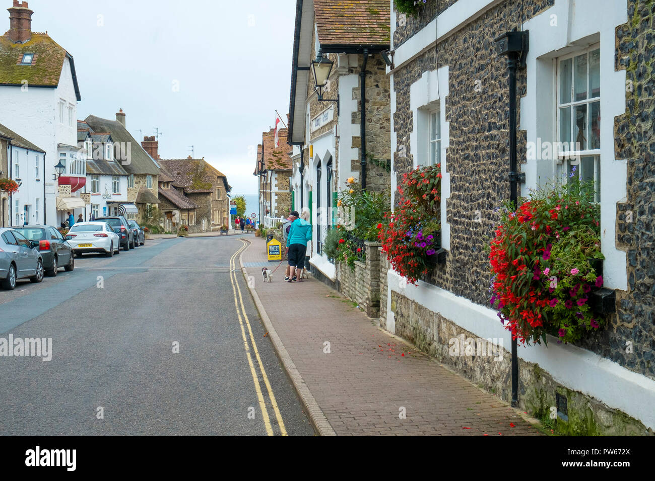 The pretty coastal village of Beer in Devon Stock Photo - Alamy