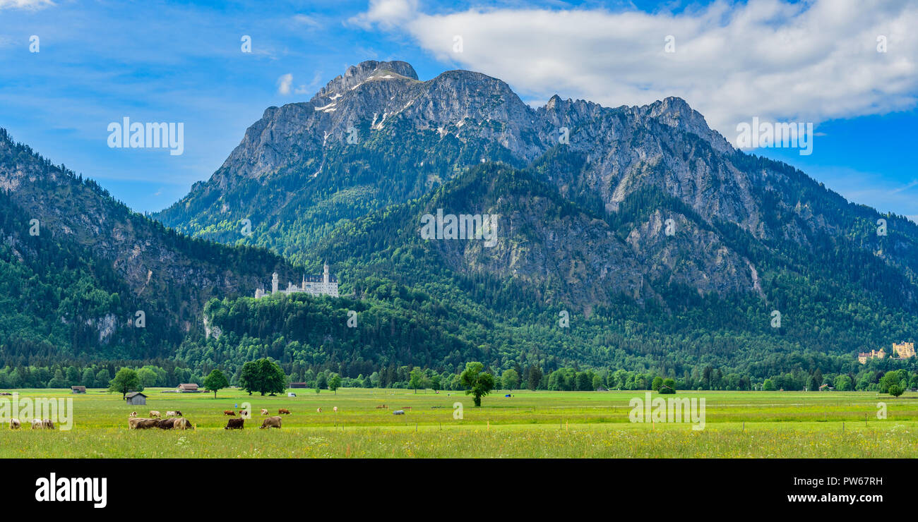 Neuschwanstein Castle in Fussen, Bavaria, Germany. Copy space for text ...