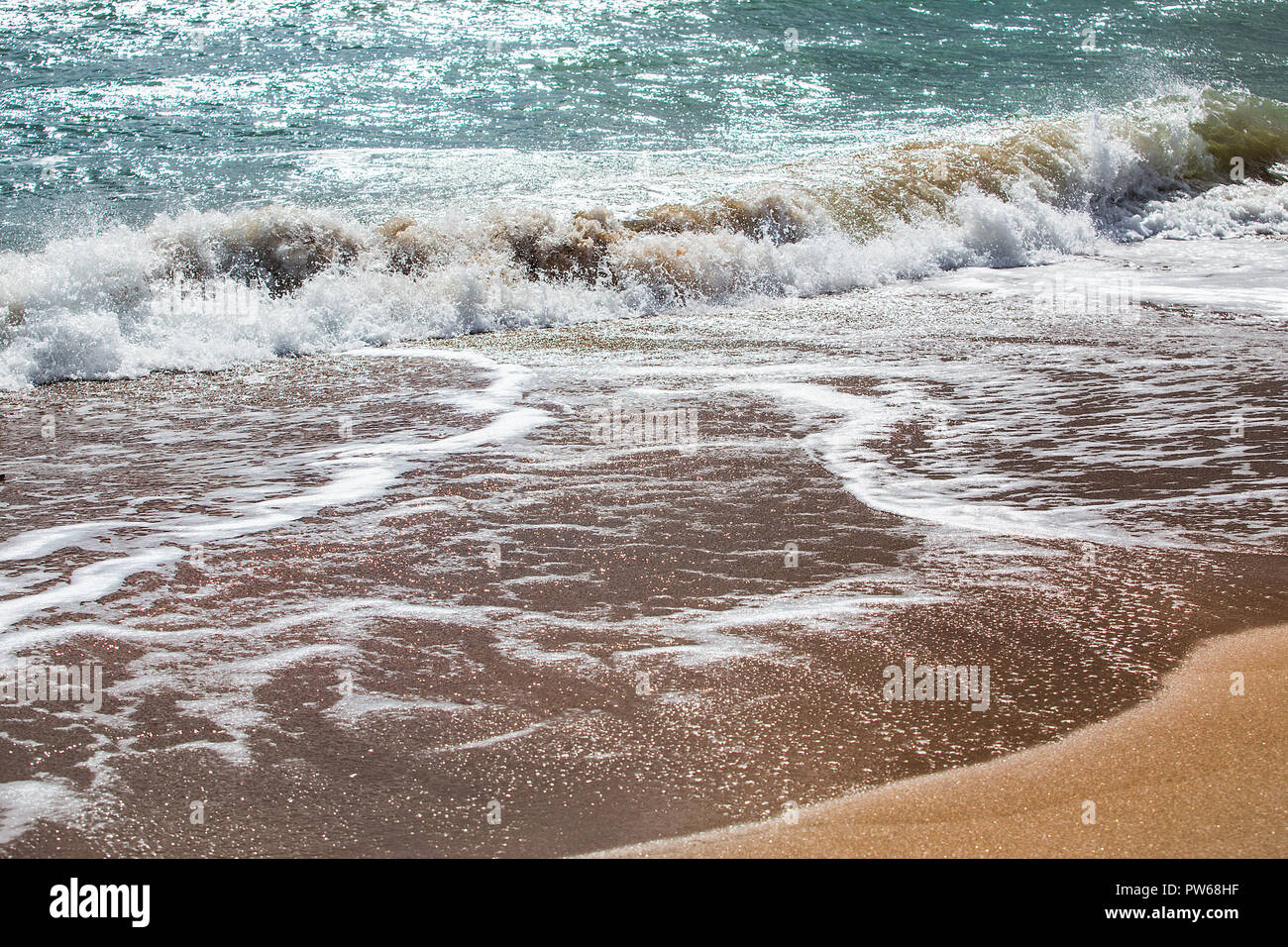 Closeup of seashore hi-res stock photography and images - Alamy