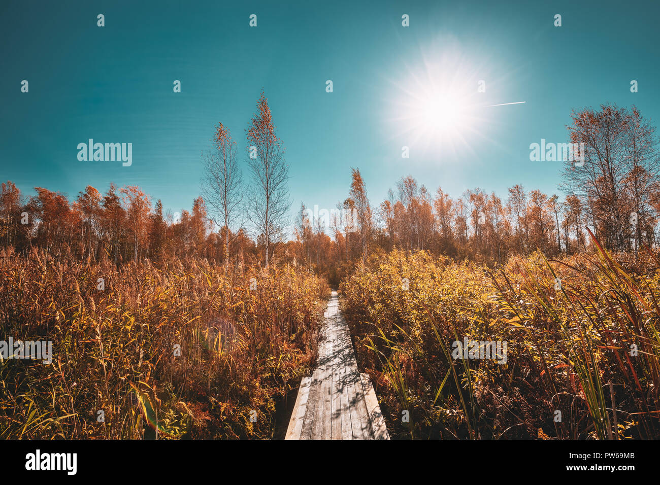 Marsh board walk trail hi-res stock photography and images - Alamy