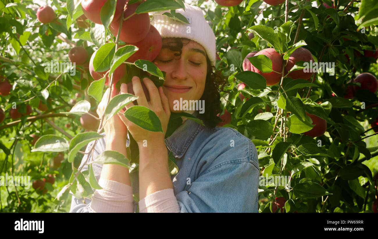 Oka plants hi-res stock photography and images - Alamy