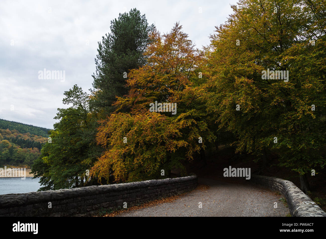 Stone walls guide walkers and cyclists along a track way by Derwent ...