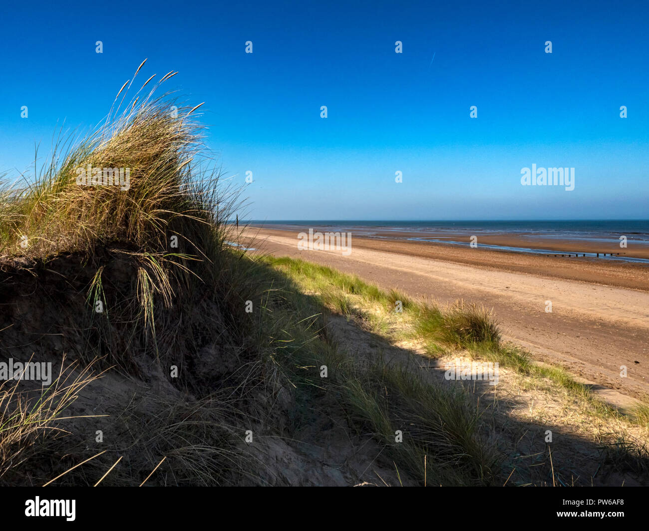 Sand dunes in the Holme Dunes National Nature Reserve on the north ...