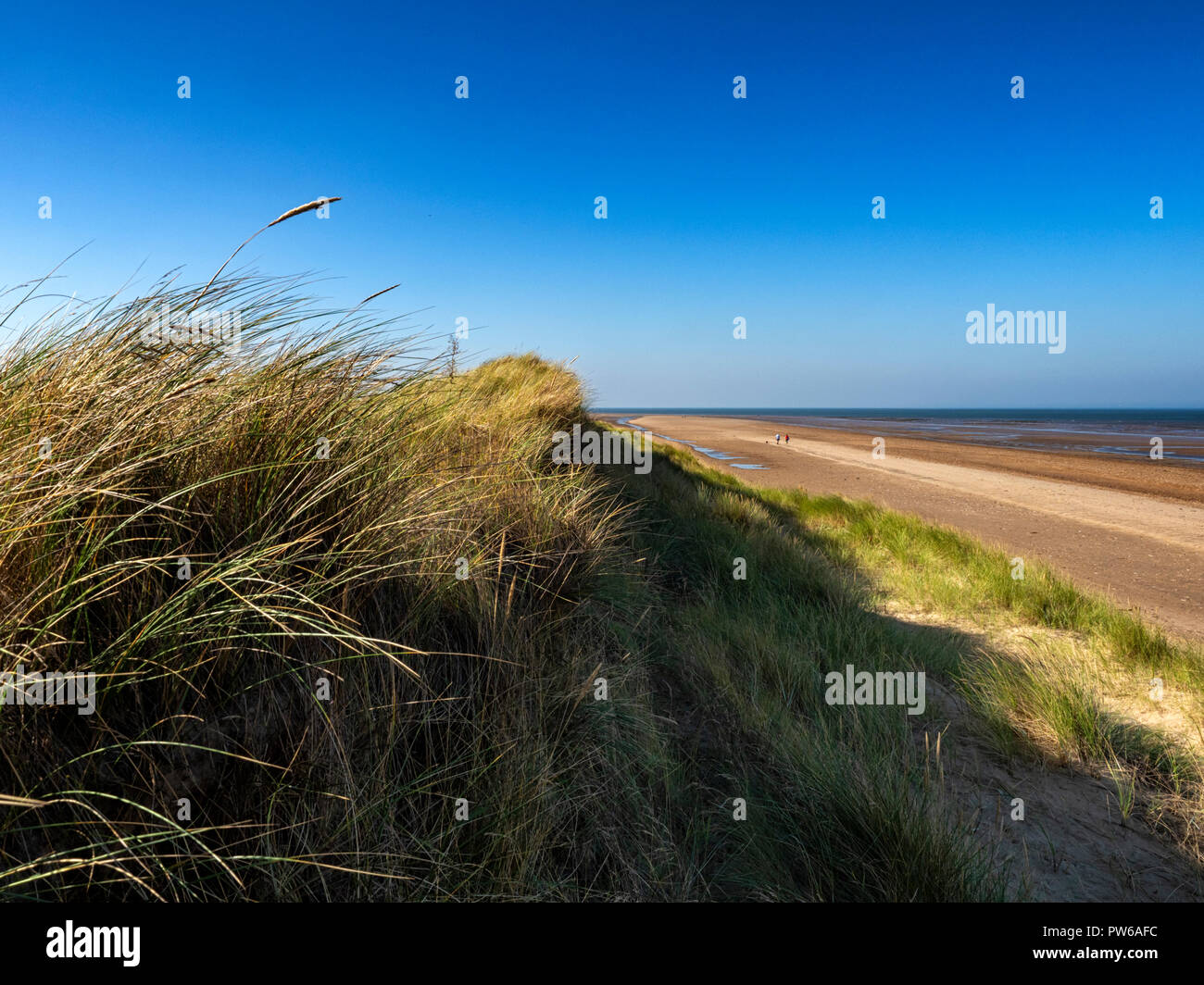 Sand dunes in the Holme Dunes National Nature Reserve on the north ...