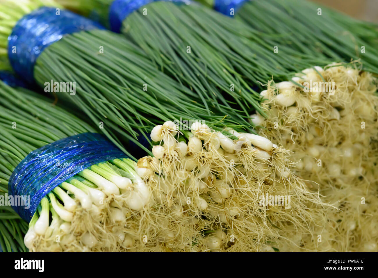 Spring onions at a market for sale hi-res stock photography and images ...