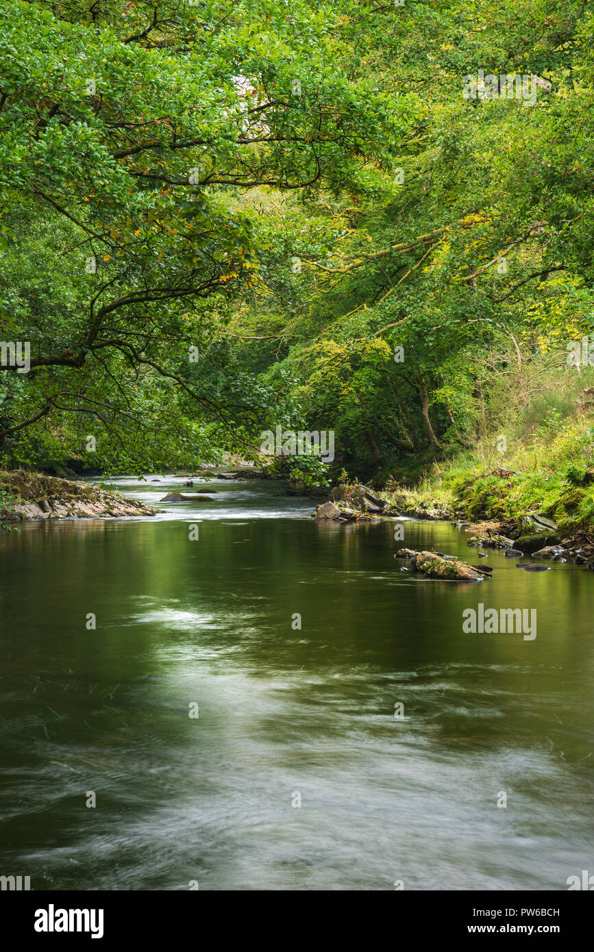 Beautiful lush green riverbank with river flowing slowly past calm ...