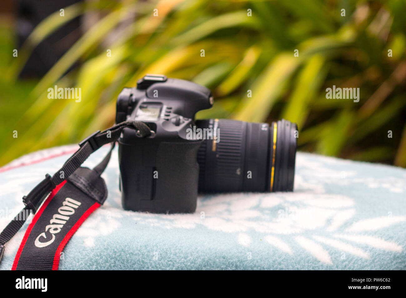 Canon Camera SLR mock-up blanket garden outdoors, photography concept ...